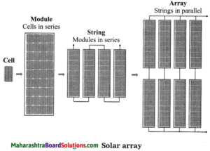 Maharashtra Board Class 10 Science Solutions Part 2 Chapter 5 Towards ...