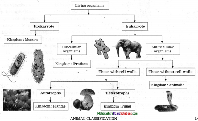 Maharashtra Board Class 10 Science Solutions Part 2 Chapter 6 Animal ...
