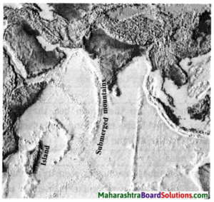 Maharashtra Board Class 8 Geography Solutions Chapter 4 Structure of ...