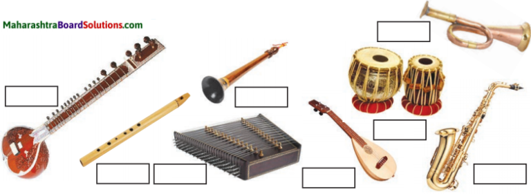 Class 8 – Maharashtra Board Solutions