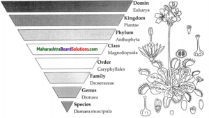 Maharashtra Board Class 9 Science Solutions Chapter 6 Classification of ...