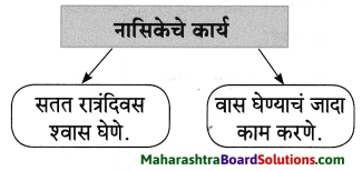 Maharashtra Board Class 8 Marathi Solutions Chapter 4 आपण सारे एक ...