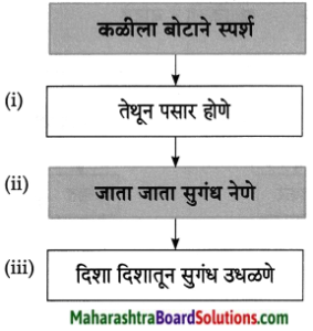 Maharashtra Board Class 8 Marathi Solutions Chapter 9 झुळूक ...