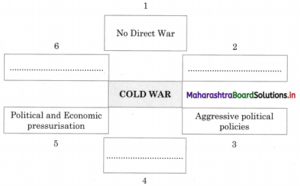 Maharashtra Board Class 12 History Important Questions Chapter 10 Cold ...