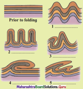 Maharashtra Board Class 11 Geography Solutions Chapter 1 Earth ...