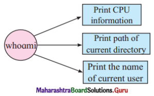 Maharashtra Board Class 11 Information Technology Solutions Chapter 1 ...